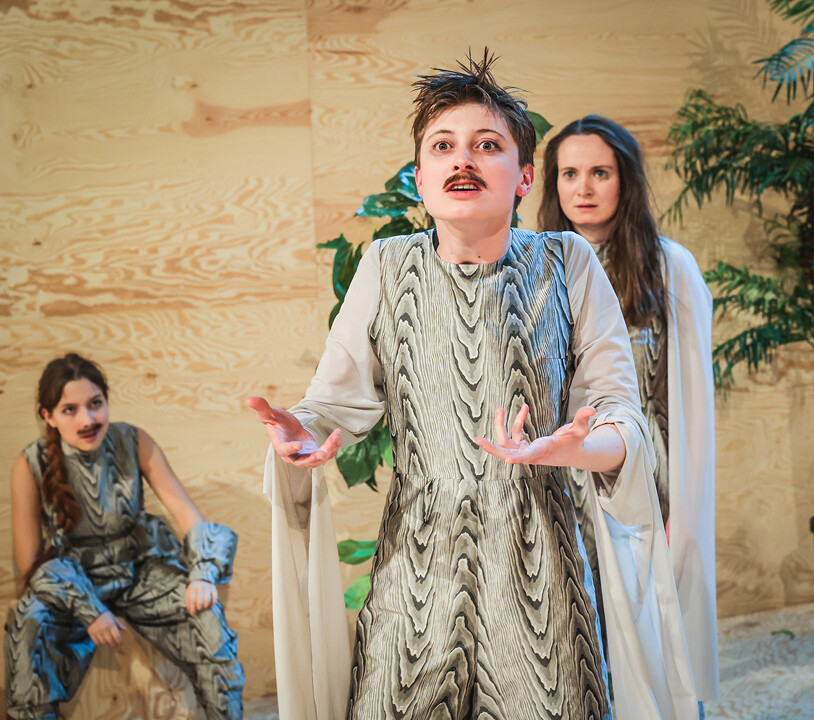 Drei Schwestern | D’haus - Düsseldorfer Schauspielhaus